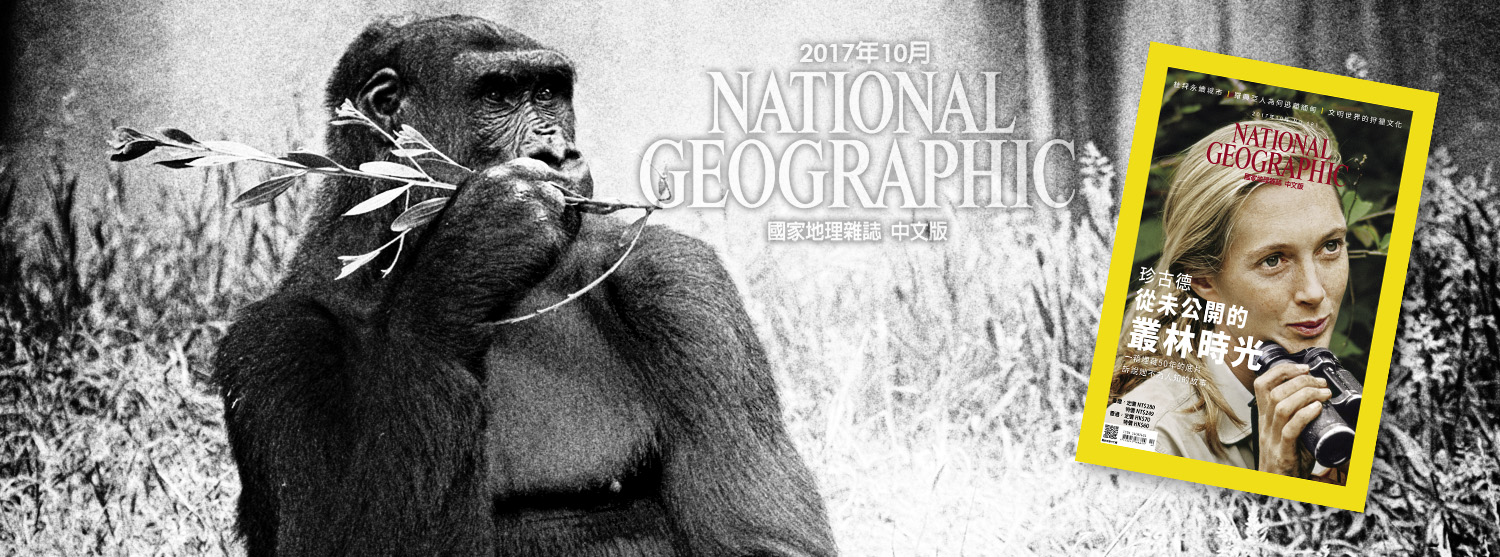 11 月不浪費（No Waste November） - 國家地理雜誌中文網